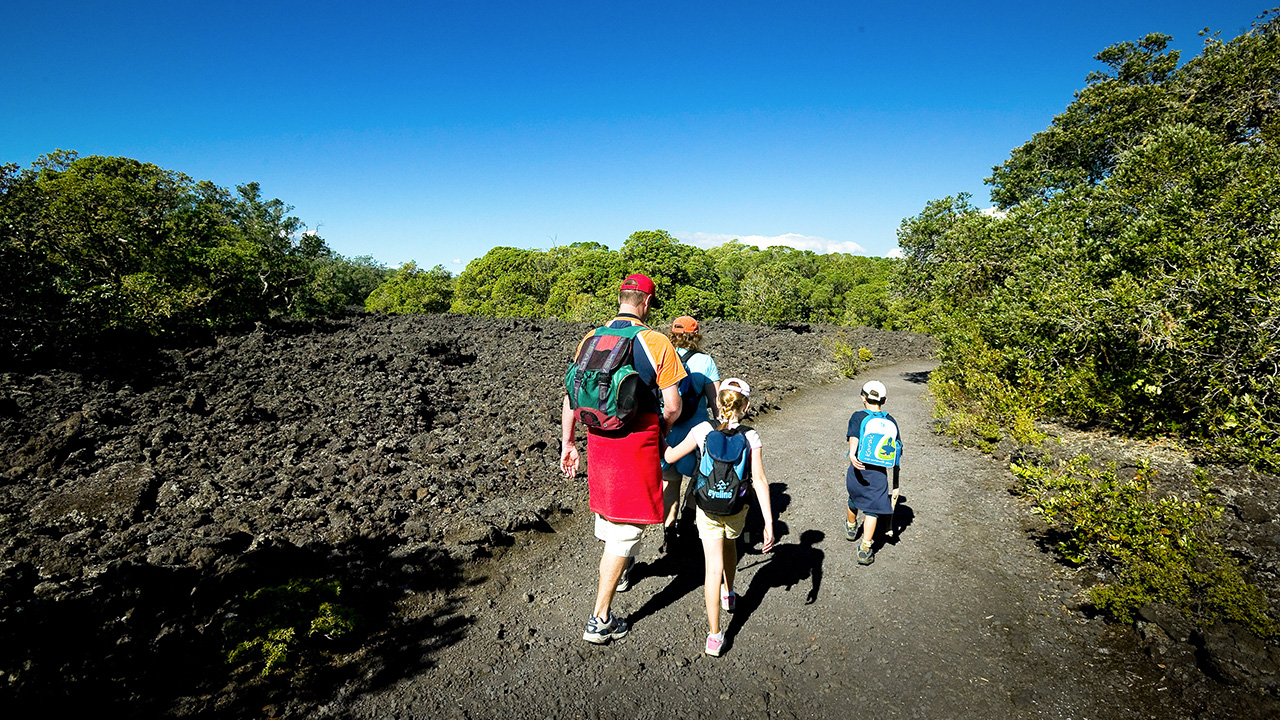 Rangitoto Island | Fullers + 360 Discovery Cruises