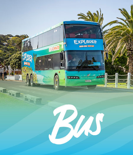 Waiheke Island Explorer Hop-on Hop-off Explorer Bus | Fullers360