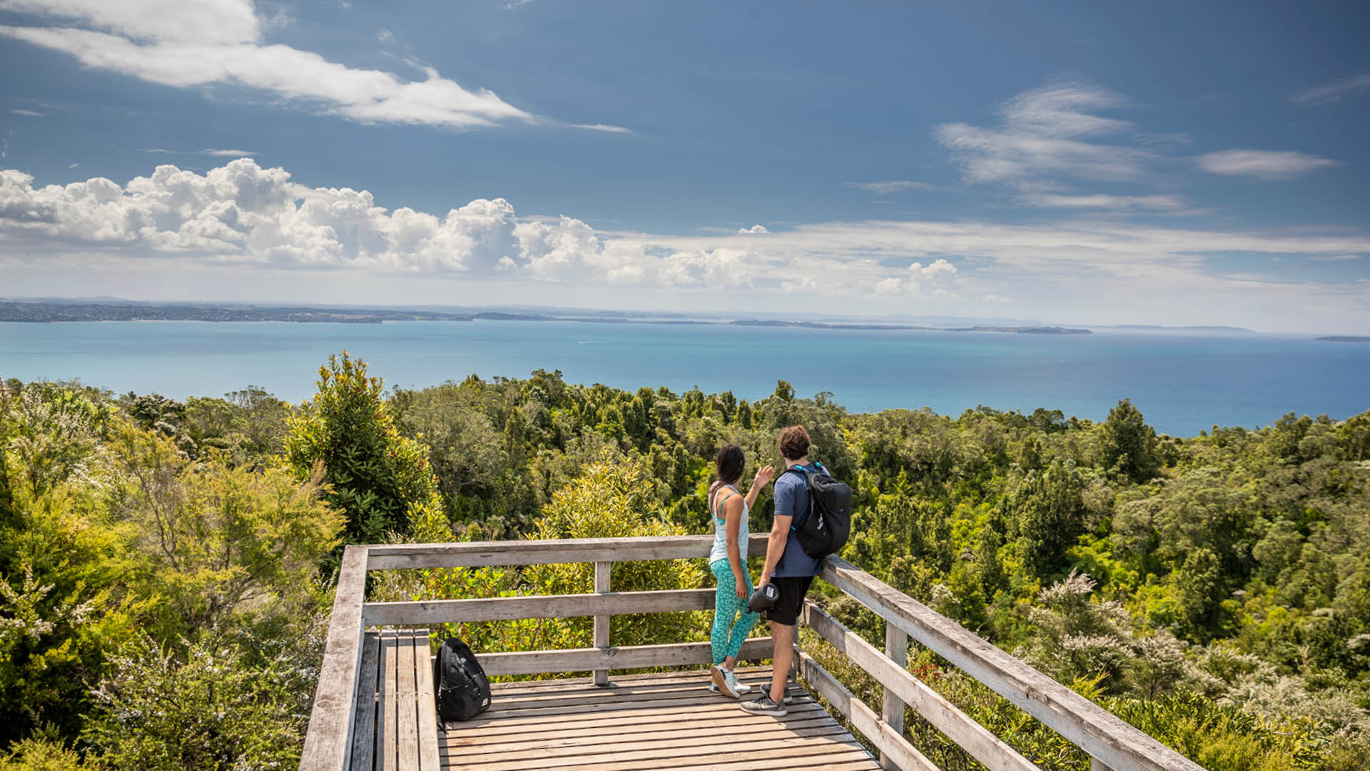 Rangitoto Island | volcano summit and walking tracks | Fullers360