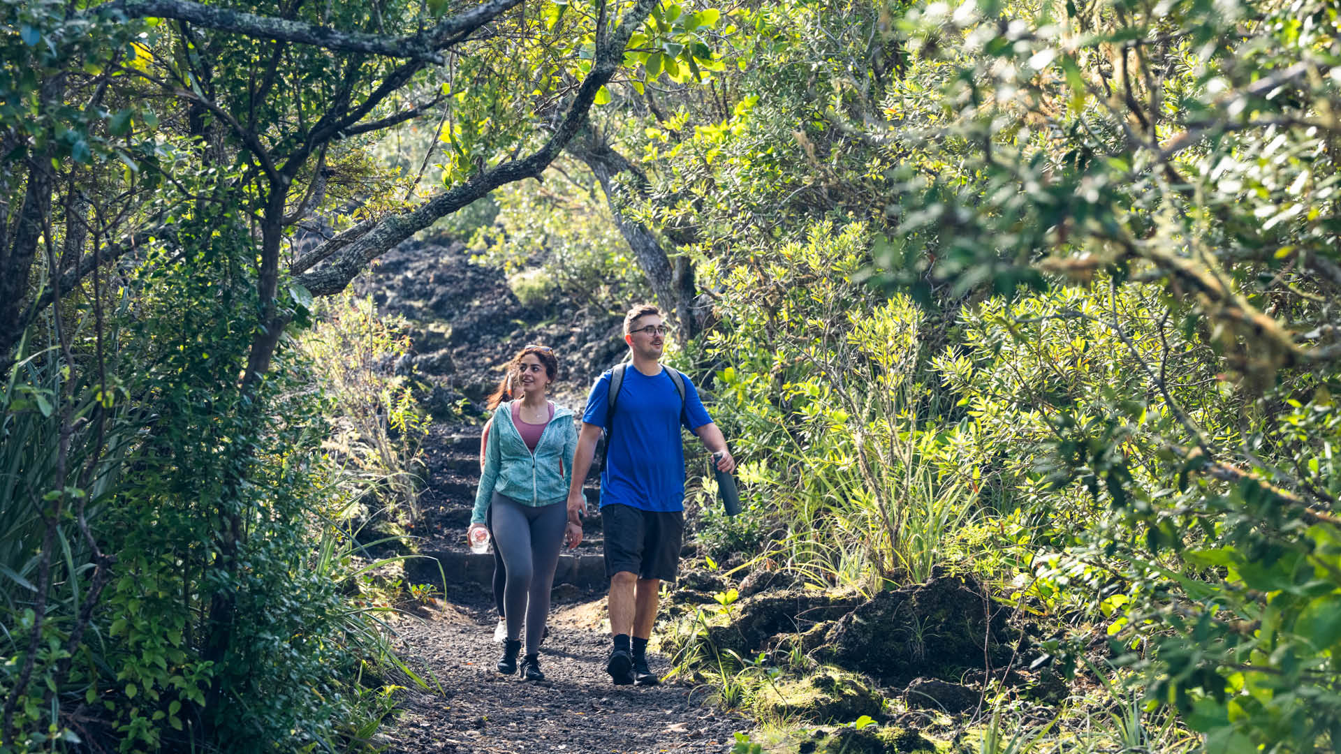 Rangitoto Island | volcano summit and walking tracks | Fullers360