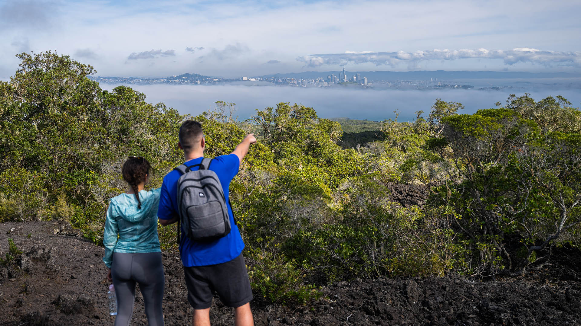 Rangitoto Island | volcano summit and walking tracks | Fullers360