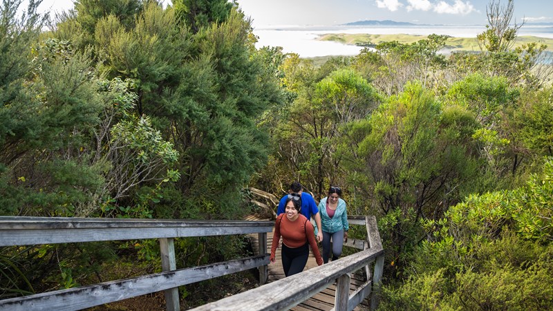 Rangitoto Island Summit Walk | Fullers360